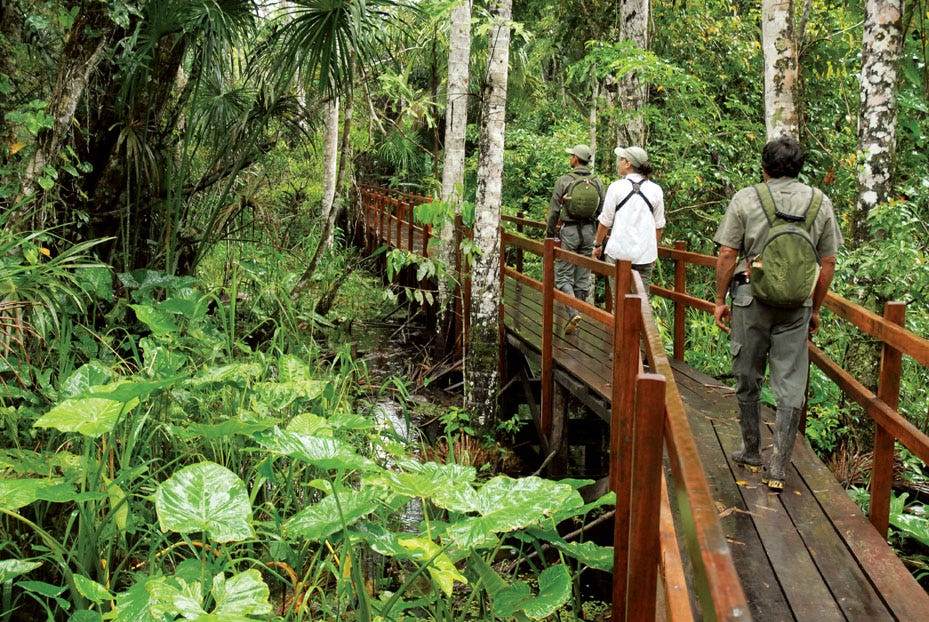 The Effects of Ecotourism on Wild Animals | by Yimeng Xu | What We Do ...