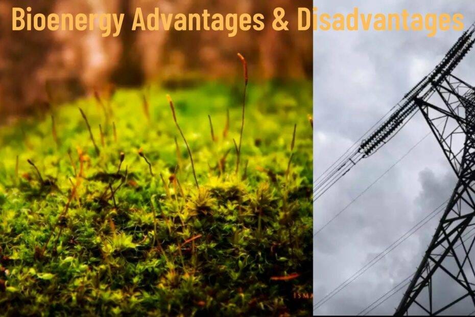 Energy to Bioenergy Advantages & Disadvantages | by Faharyar | Medium