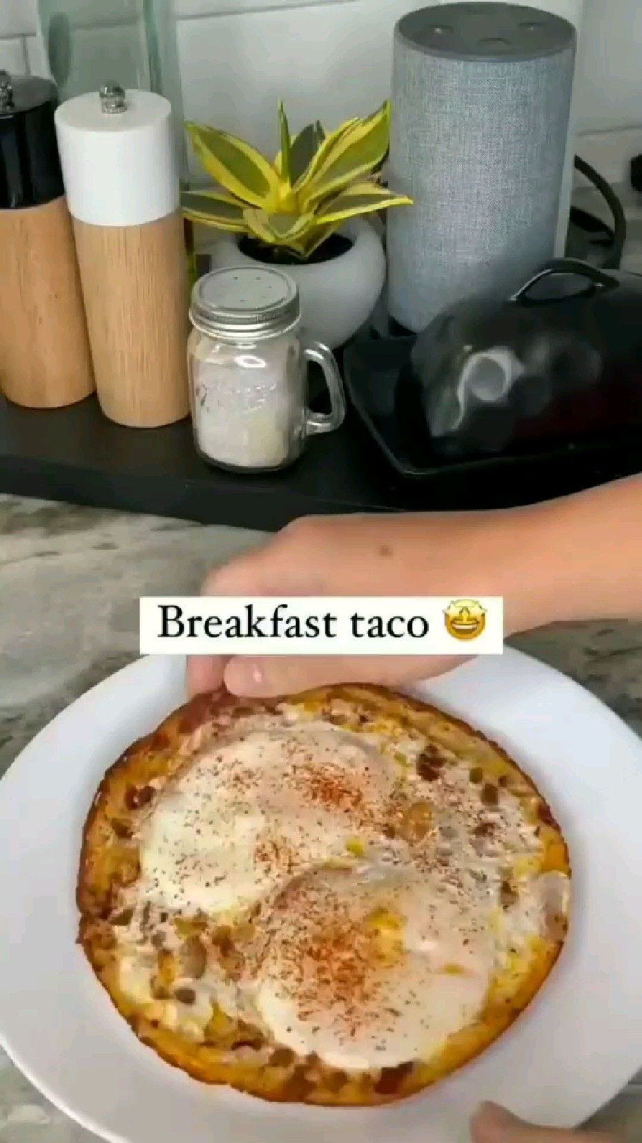 Breakfast Taco Kdm Sex Gerl Porno Hub Medium