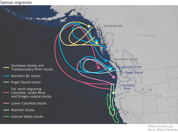Tribes of the Klamath Basin Show Us How to Heal a River - resilience