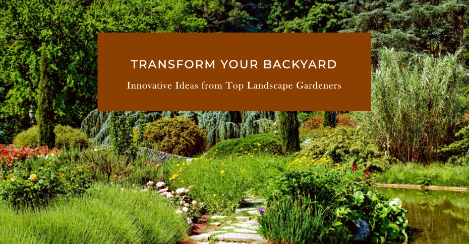 Transforming Your Backyard: Innovative Ideas from Top Landscape ...