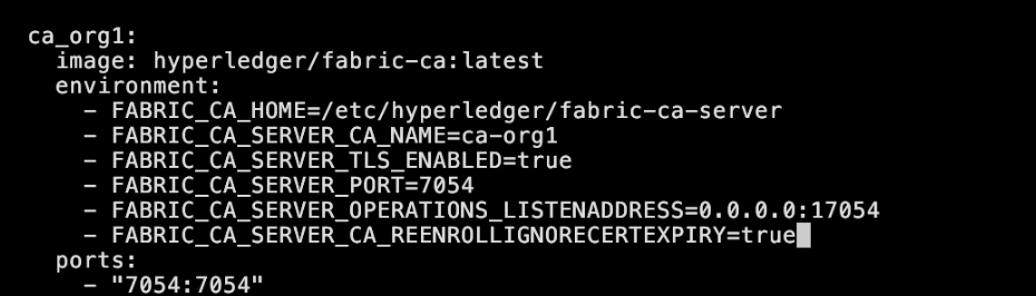 Renew Enrollment and TLS certificate in hyperledger Fabric >2.1 | by Badr Bellaj | Medium