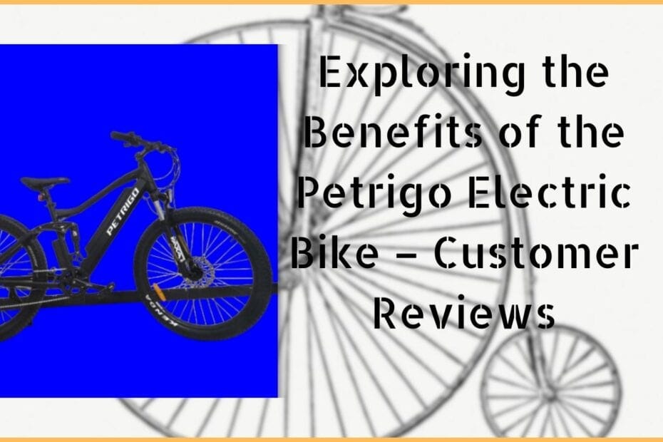 Ride into the Future: Petrigo Electric Bike Unveiled | by Benny Davis ...