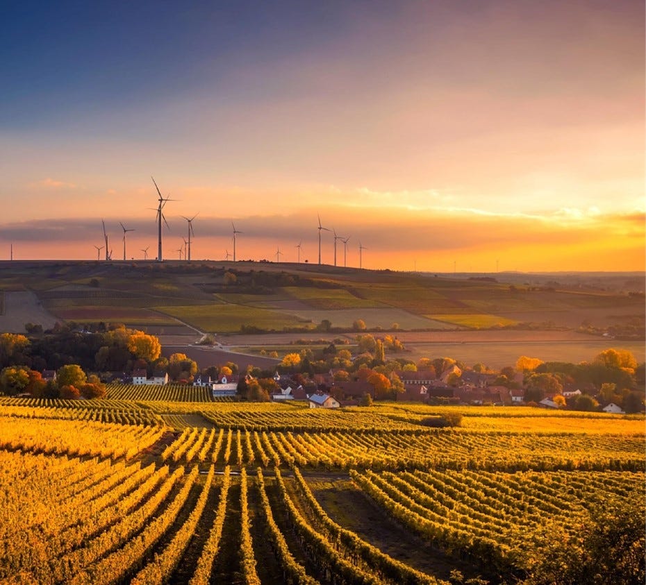 Ironhack Bootcamp Project 1 / Wicked Problems: Food Sustainability | by ...