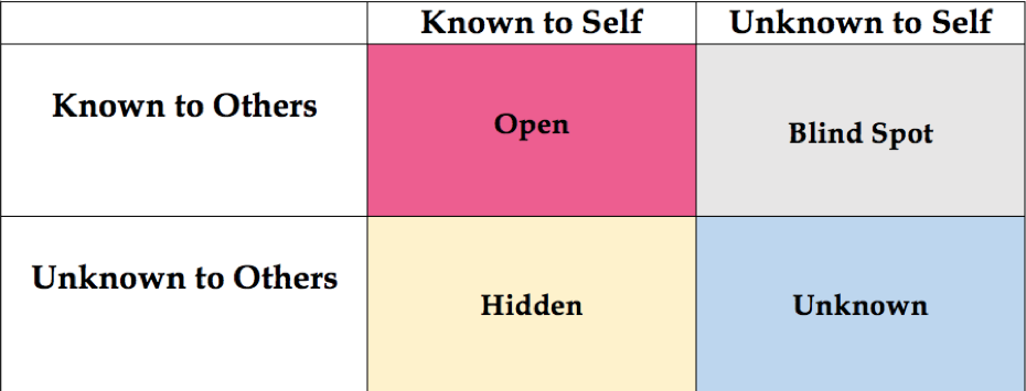 Uncover Your Personal And Professional Blind-Spots Using This ...