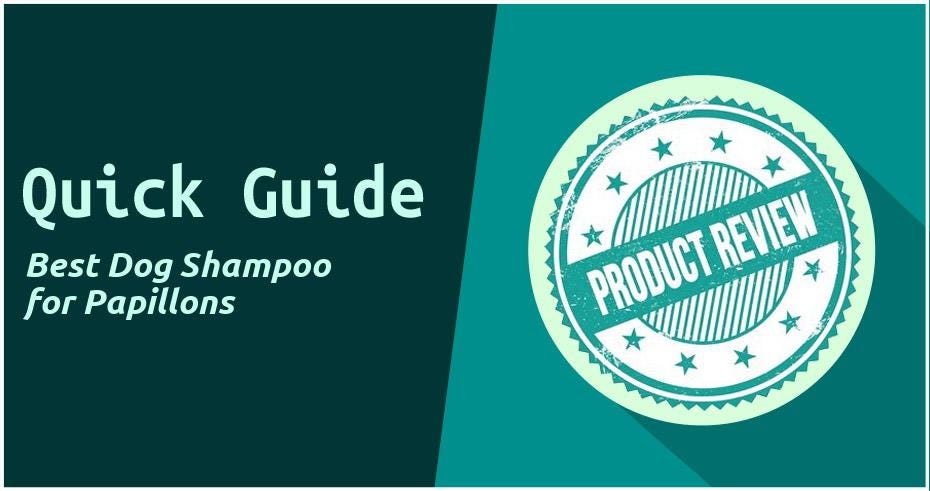 Best Dog Shampoo for Papillons — Quick Guide 2024 | by Andrew Parker ...