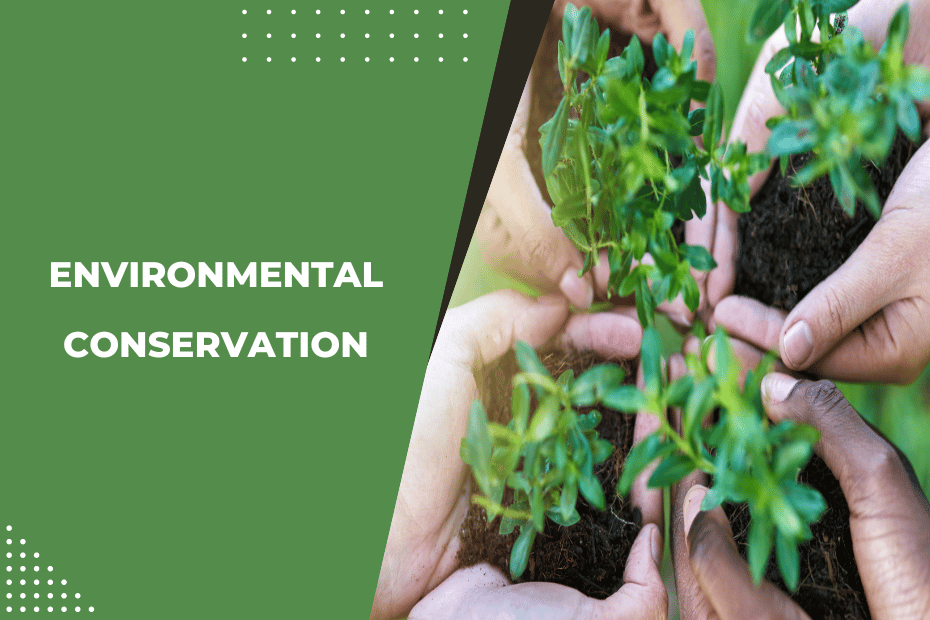 Environmental Conservation with AI and Biotechnology | by Nirdosh ...