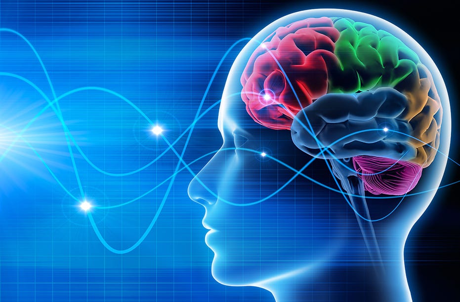 Neurodesign Series #2: The Neuroscience of Emotional Engagement in UX | by Mohan Kumar S ...
