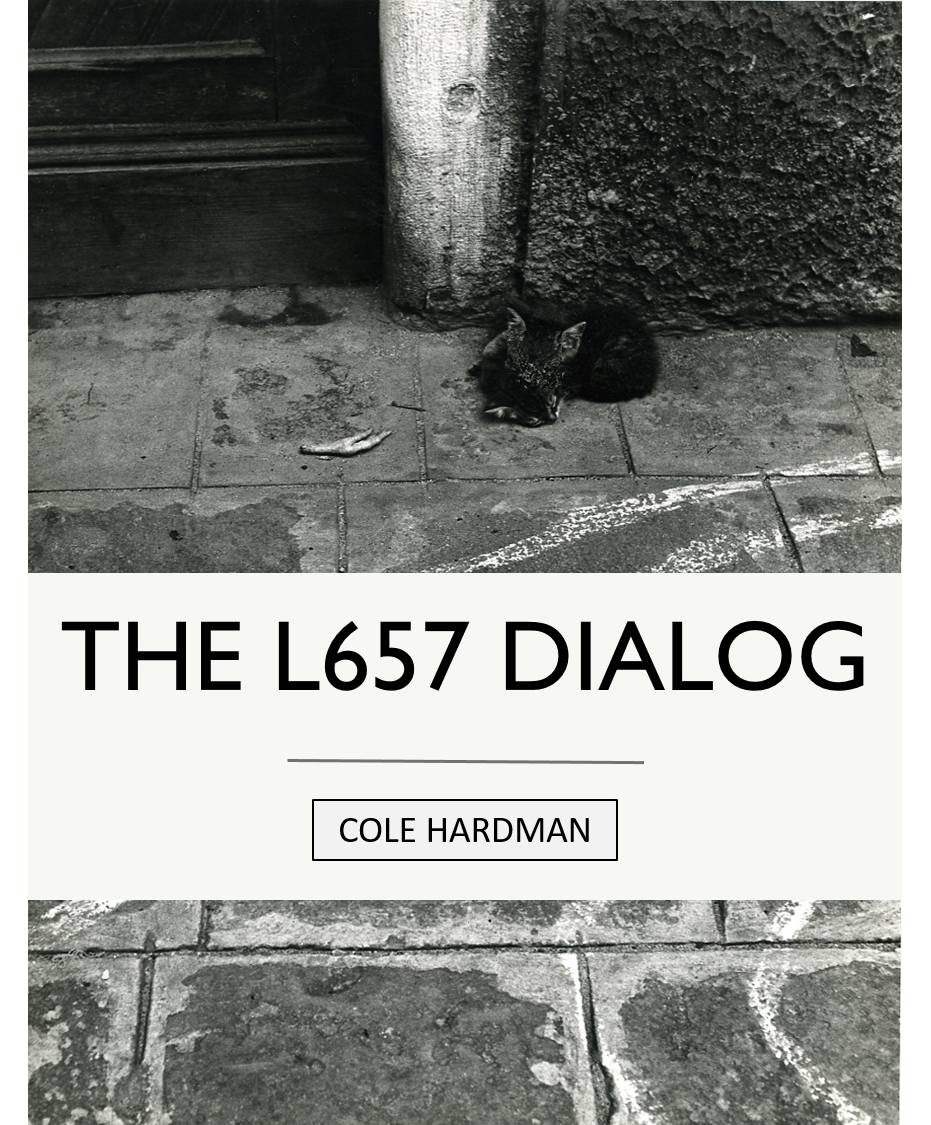 The L657 Dialog. Part I: Gazing at the Gowanus | by Cole Hardman | Lit ...