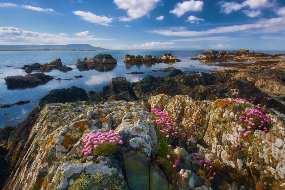 Irish Whimsy: Leprechauns, Fairies, and Other Creatures in Irish Folklore | by William Maddox ...