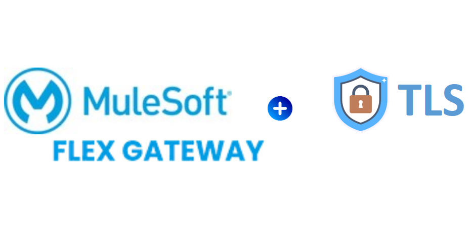 MuleSoft Flex Gateway TLS configuration | by Jose Ramon Huerga | Another Integration Blog | Medium