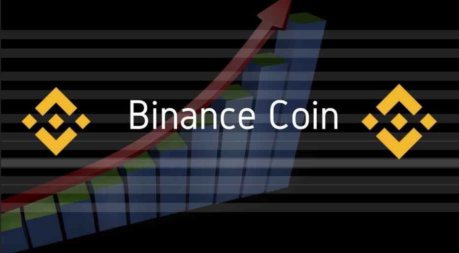 Binance Coin has it right. Binance coin example will be followed… | by ...