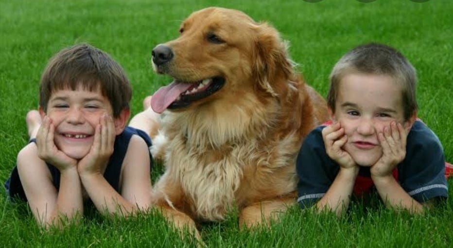 3 Best Dog Breeds for Kids. Dogs have been man’s best friend for… | by ...