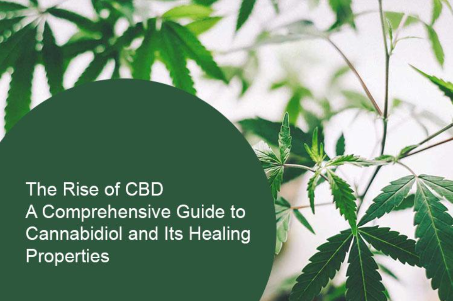 The Rise of CBD: A Comprehensive Guide to Cannabidiol and Its Healing Properties | by Ant Farm ...