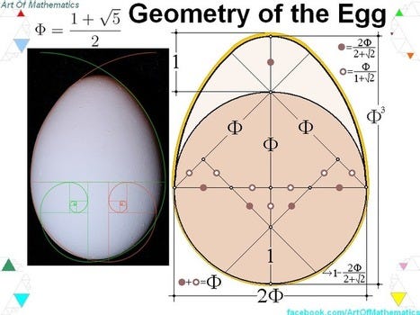 Fibonacci In Nature Egg