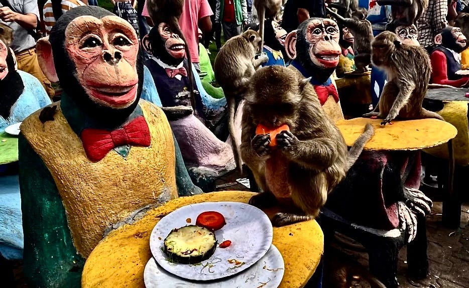 Monkey Business. By Ed Staskus | by Edward Staskus | Dec, 2024 | Medium