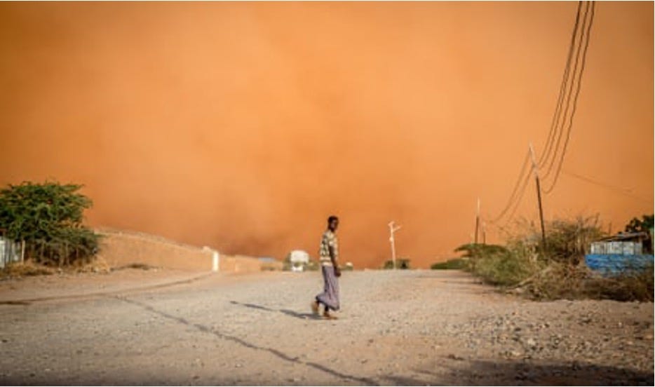 The Horns of Africa - “Millions are Dying” | by Tegan Whitfield | Medium