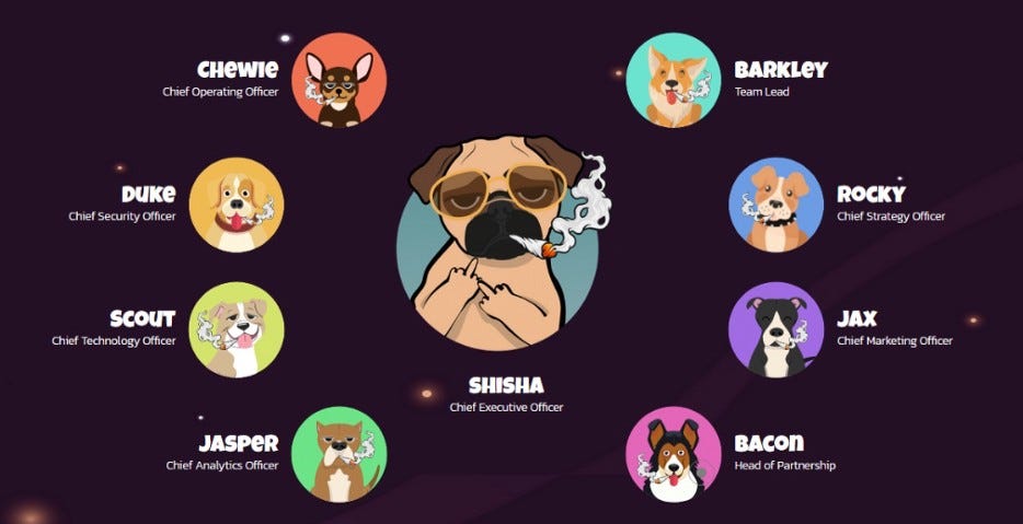 Who is the SHISH nation?. These are mostly active young people… | by ...