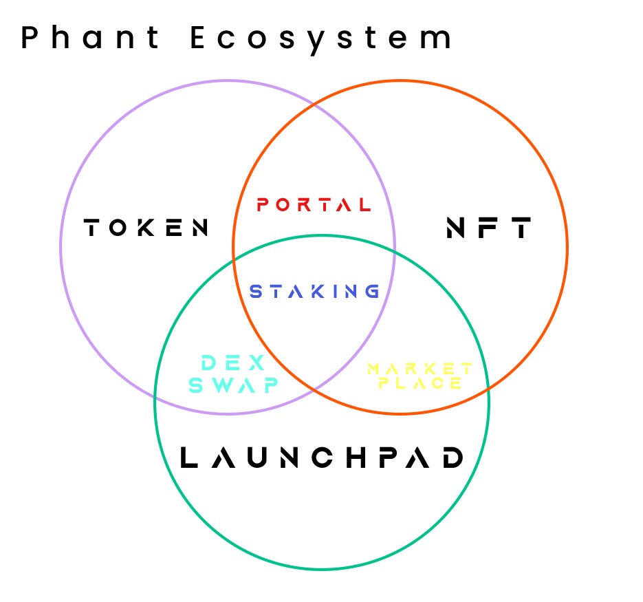 What makes Phant Ecosystem different from others? | by White Elephant ...