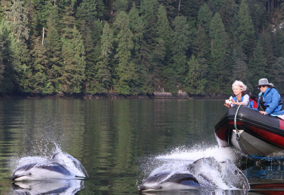 Photographing the Wildlife and Fjords of British Columbia - Jawad ...