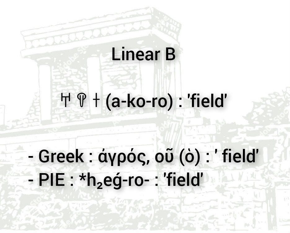 Linear B : 𐀀 𐀒 𐀫 = (a-ko-ro) : 'field' - Greek : ἀγρός, οῦ (ὁ) : ' field'
