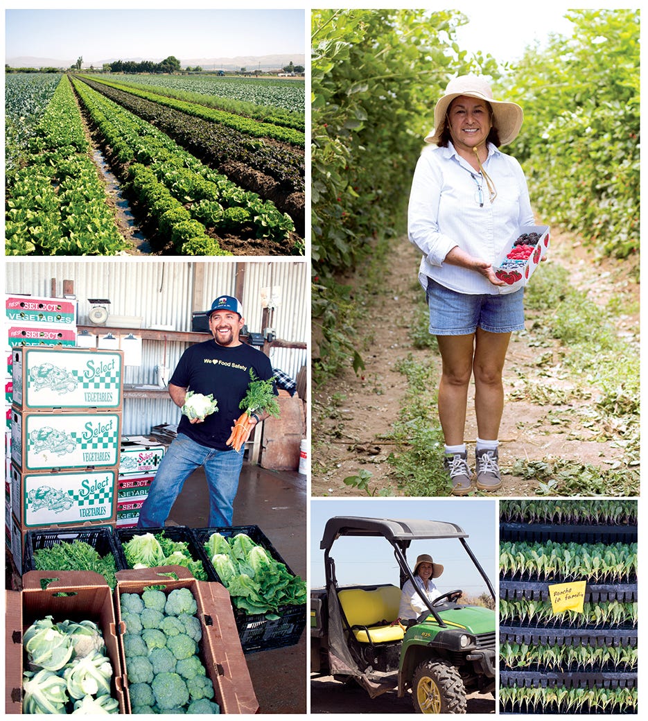 Eat Local. It’s no secret that California is the… | by Cal Poly ...