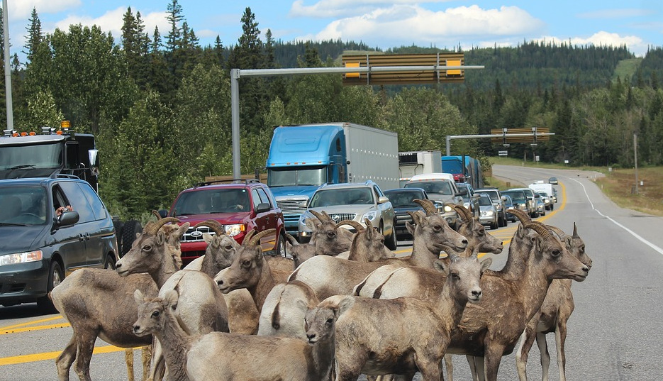 Dont Use Inheritance In React For Anyone Coming Into React Land From By Marc G Medium