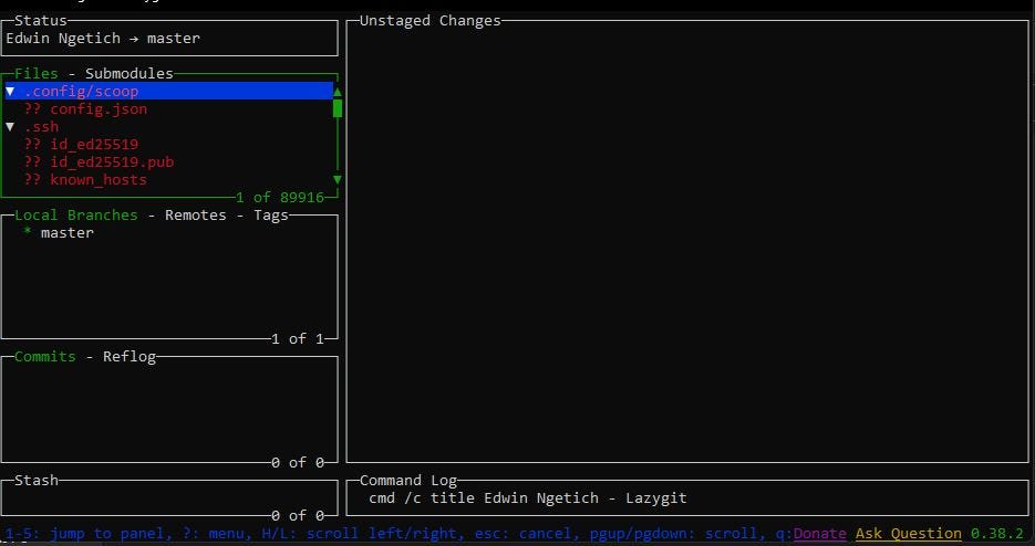 Lazygit install in windows.. Lazygit is a simplified terminal UI for… | by Edwin Ngetich | Medium
