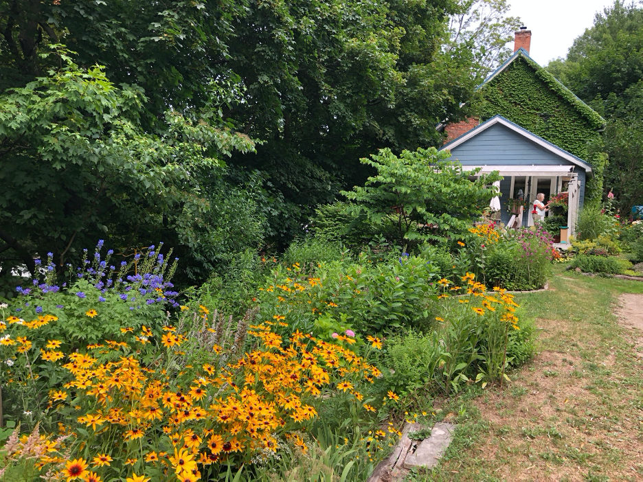 An Antidote to Plant Blindness. By Eva Legge | by Scope Staff | The ...