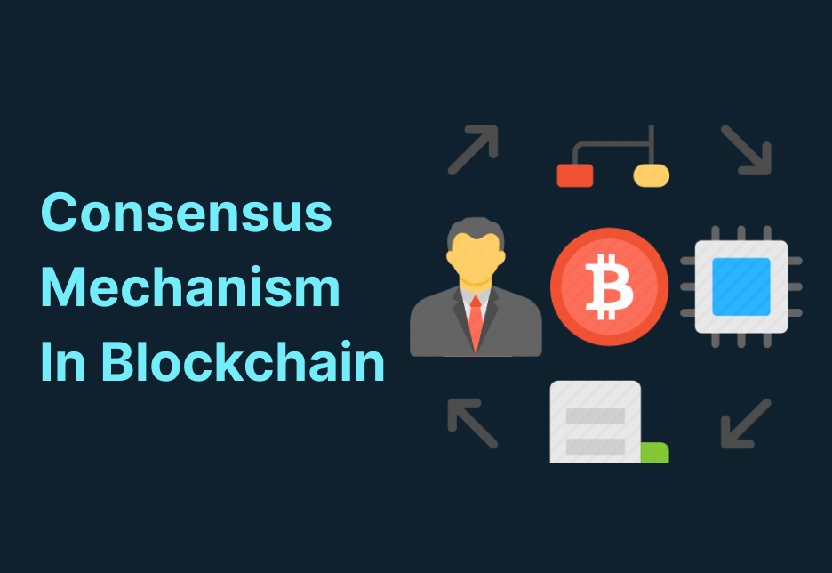 Understanding the Different Types of Consensus Mechanisms | by Amna ...