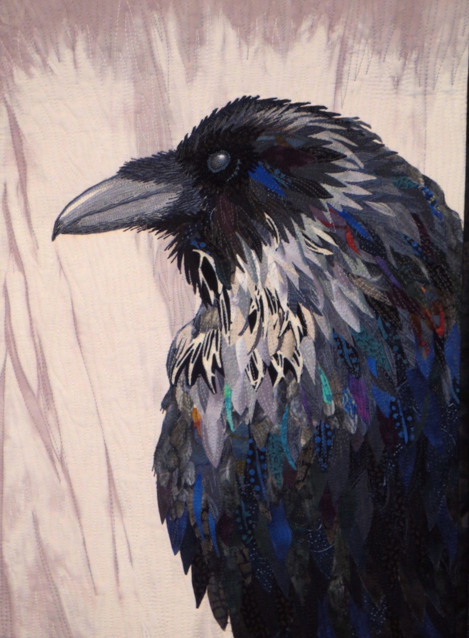 Blog #9/ The Duality of the Raven | by Cait | Scholar Activism | Medium
