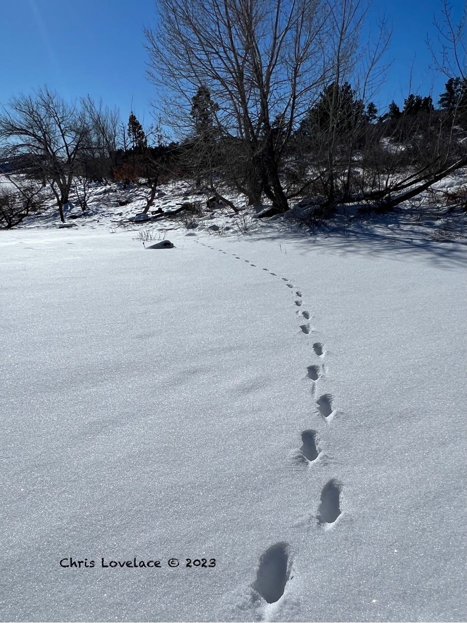 Snowy Redrock Country. Bill Monroe and The Bluegrass Boys are… | by ...