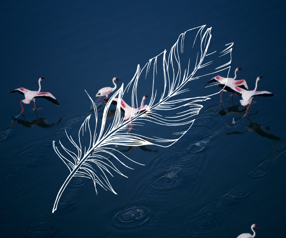 How Do Gods Fly?. An article exploring how God’s flew… | by Ethan ...