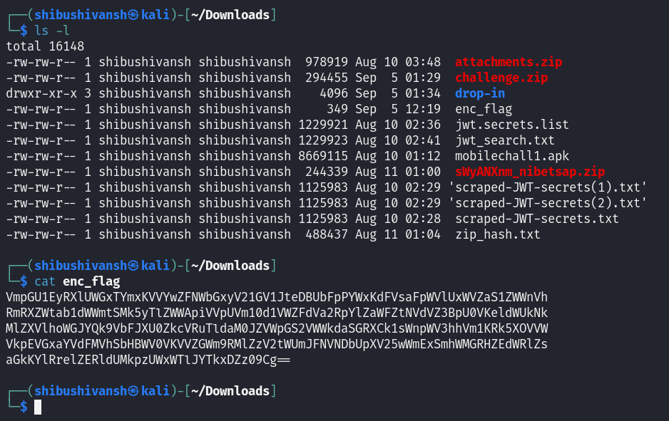 PicoCTF — endianness, repetitions, useless | by Shivansh Seth | Medium