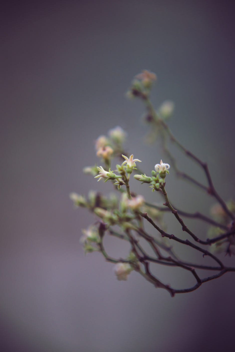 Simplify The Scene Photography