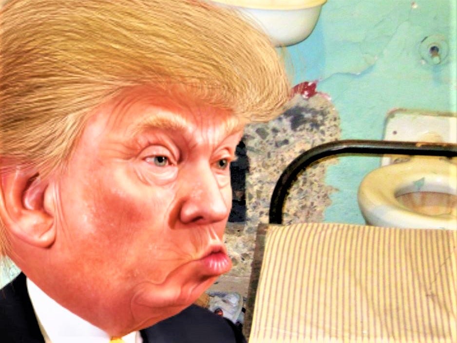 Don’t Ever Cross the Librarian, Not Even If You Are Donald Trump | Medium