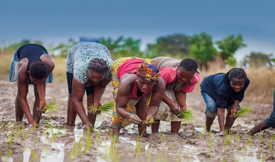 Cultivating Prosperity: Empowering Farmers for Sustainable Agriculture ...
