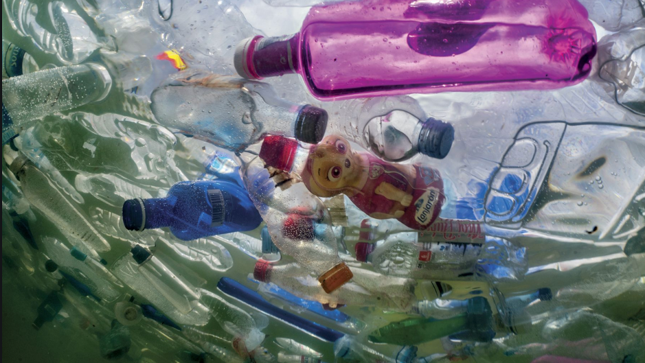 Why is plastic and plastic waste such an important topic? | by ...