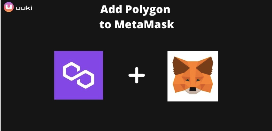 How to Add Polygon (MATIC) Network to MetaMask | by My space (Community ...