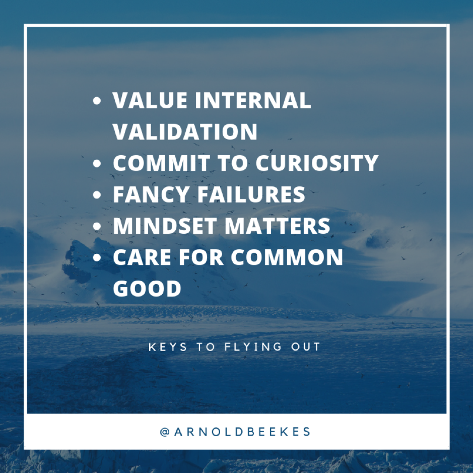 From ‘Fitting In’ to ‘Flying Out’, an introduction | by Arnold Beekes | Medium