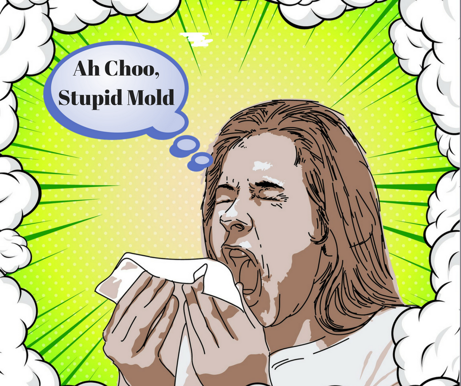 Mold Remediation — Full Guide. So if you’ve recently had a mold… | by ...