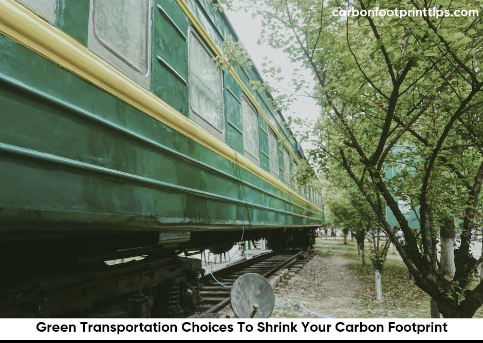 Green Transportation Choices To Shrink Your Carbon Footprint | by ...