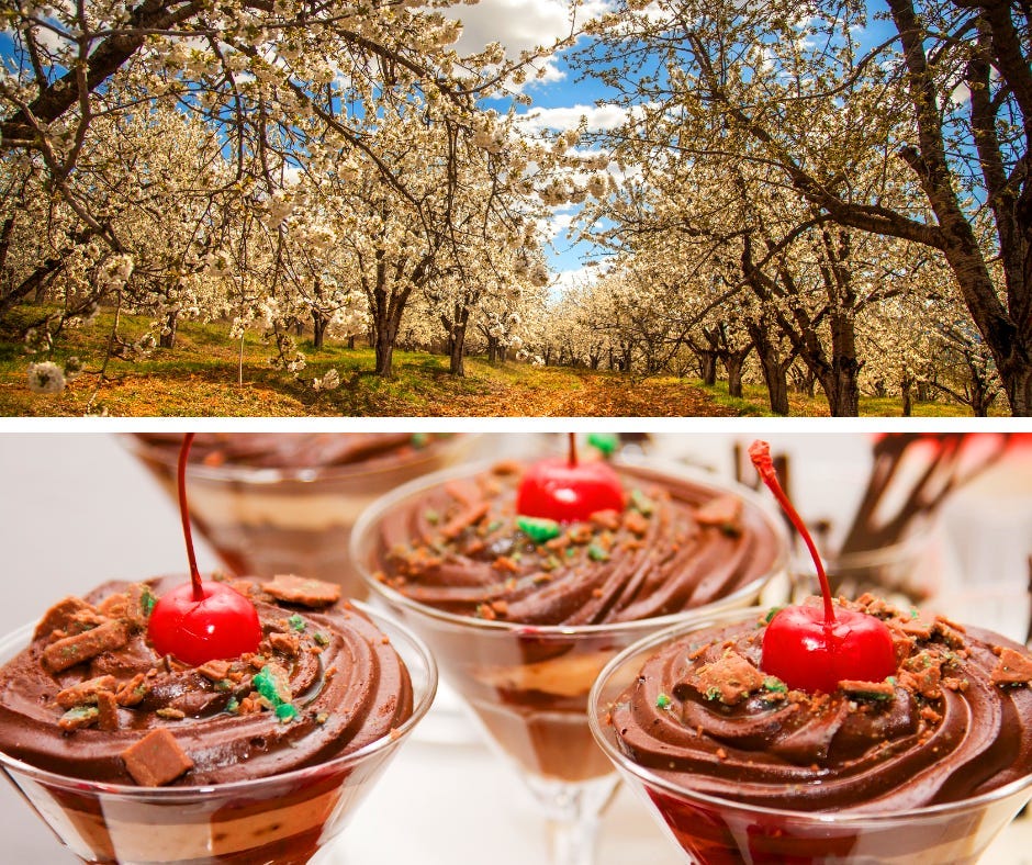 🍒The Cherry Blossom Festival of El Jerte | by Kimberley Silverthorne ...