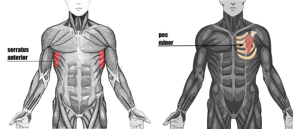 What You Should Do After An Injury — 3 Principles I Applied After My ...