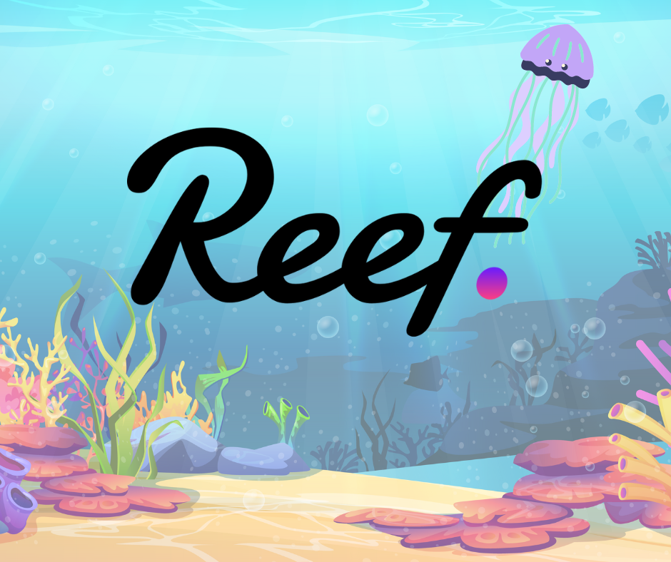 Dive into the Reef Ecosystem: Merch Store Goes Global | by ...