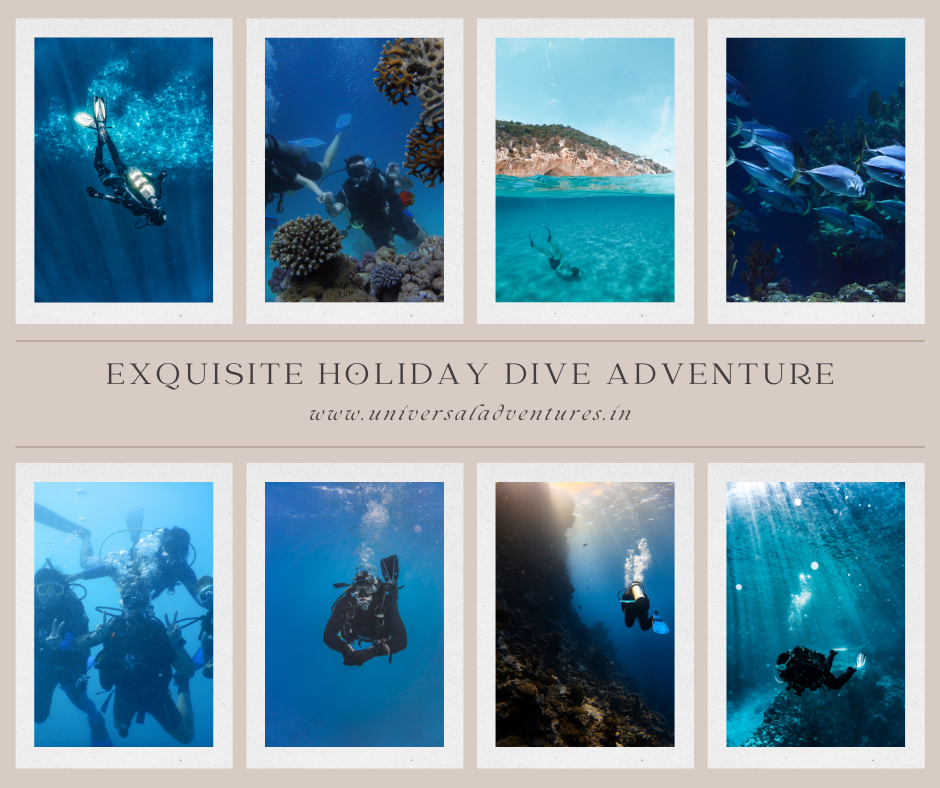 The Budget-Friendly Guide to Scuba Diving in Goa | by Pandeypooja | Sep ...