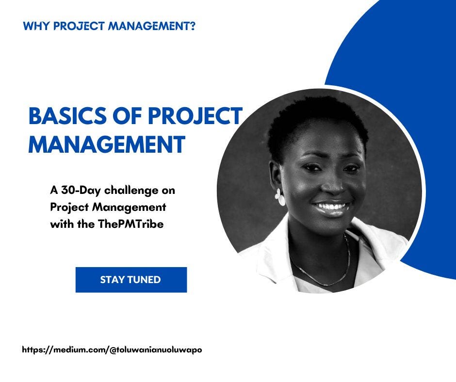 Basics of Project Management. Project management can seem like a… | by ...