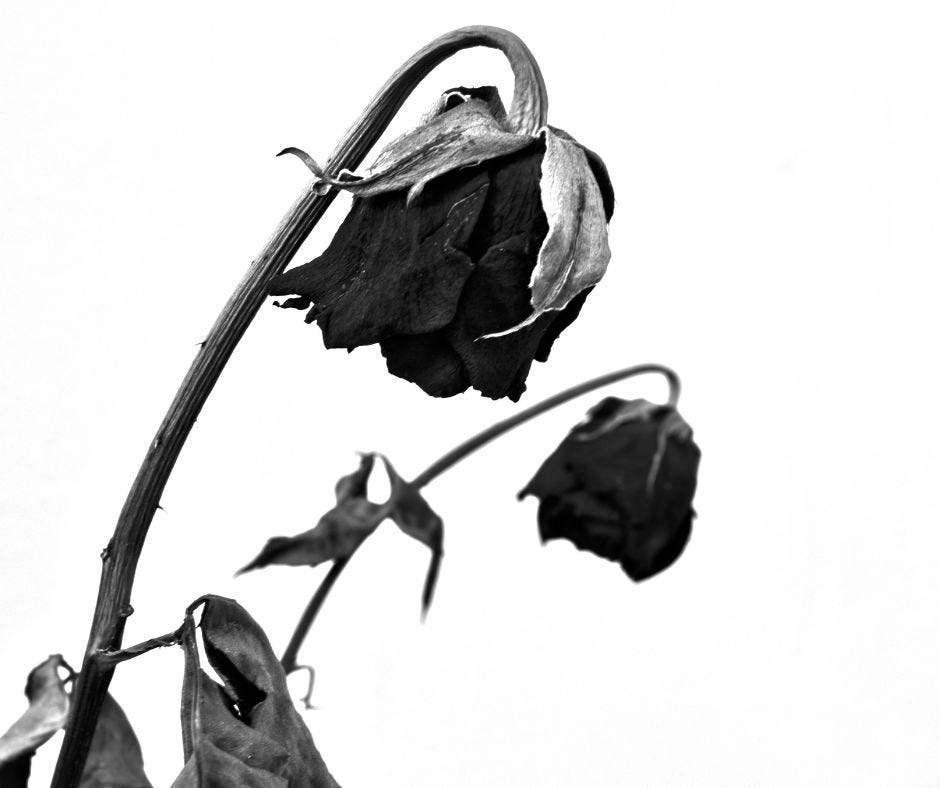 A Careless Word. A Careless Word | by Nancy Ann Creed | Medium