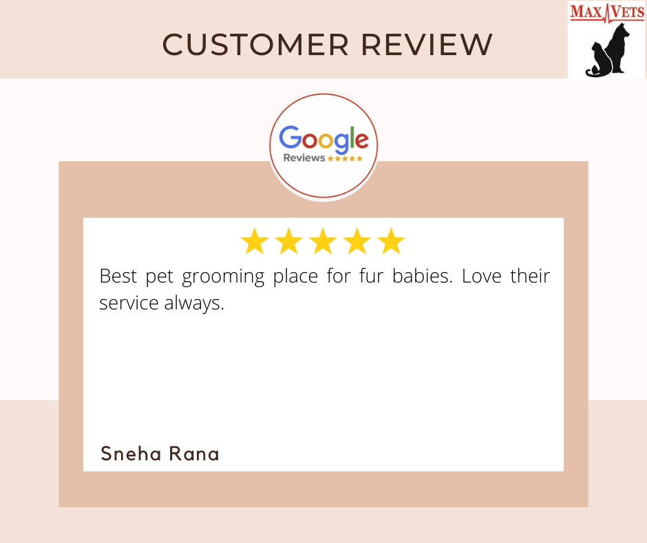 Max Vets Animal Hospital Greater Kailash 1 delhi review by Sneha Rana ...