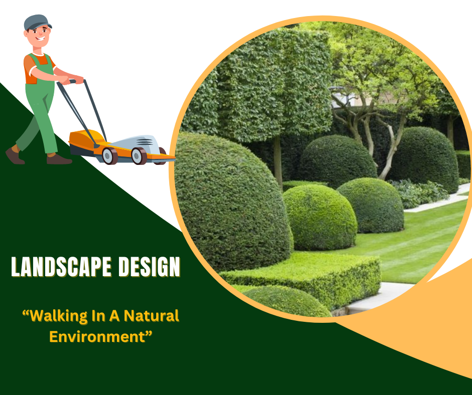 Tips For A Beautiful Yard On A Budget - Fabien Lucia - Medium